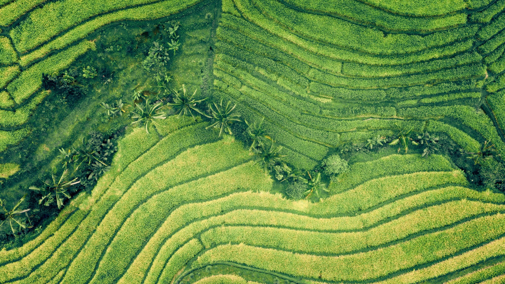 Community and ESG | Spencer West